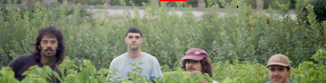 Ku! -Ku! - Neon Filler